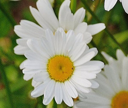 Gallery - Riteway Environmental and Tank Services